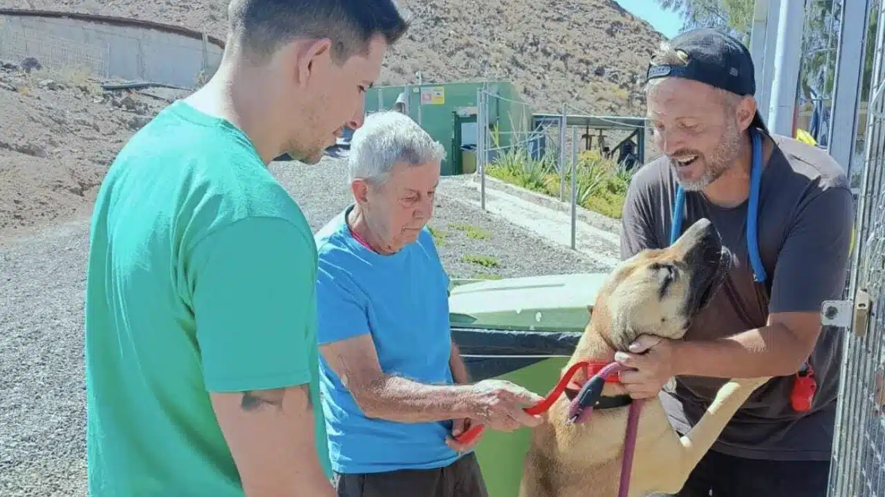 El CLIA de Santa Lucía de Tirajana participa en la campaña para combatir el abandono de animales